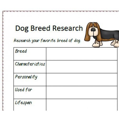 Therapy Dog Activities - Smart Starters